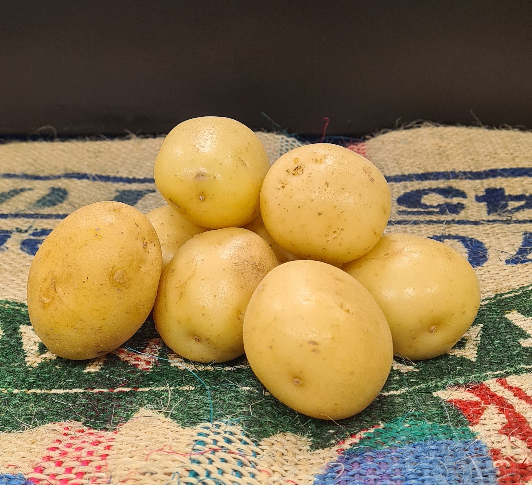 POTATOES NADINE LOOSE – Harvest Fresh Hub