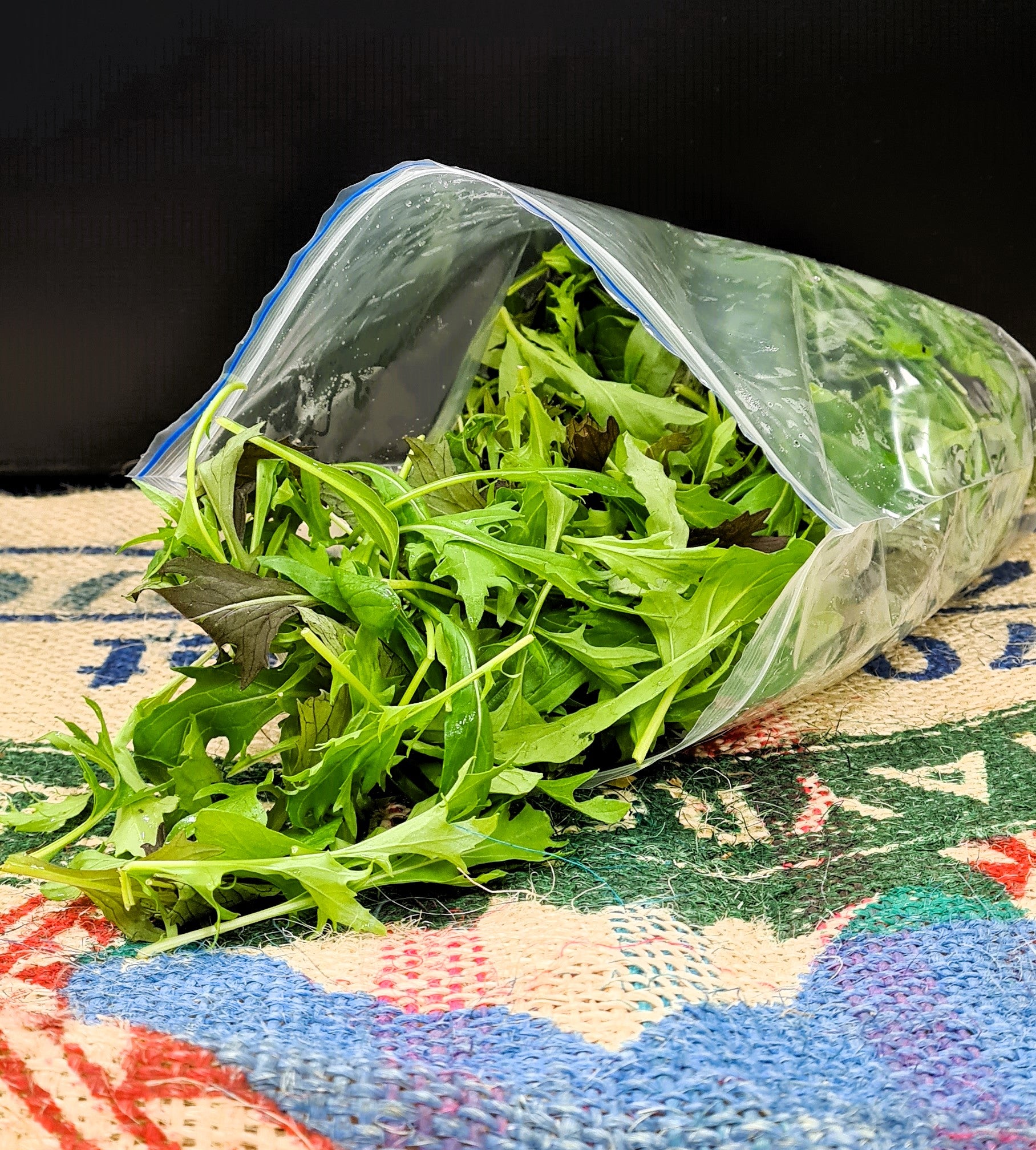 MIXED LEAF – Harvest Fresh Hub